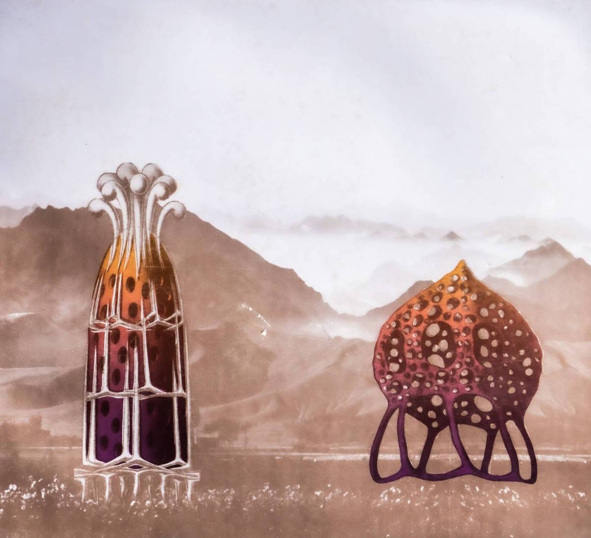 Books | Sanfte Strukturen